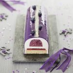 Bûche Vanille, Myrtille & Fruits Rouges - Condifa